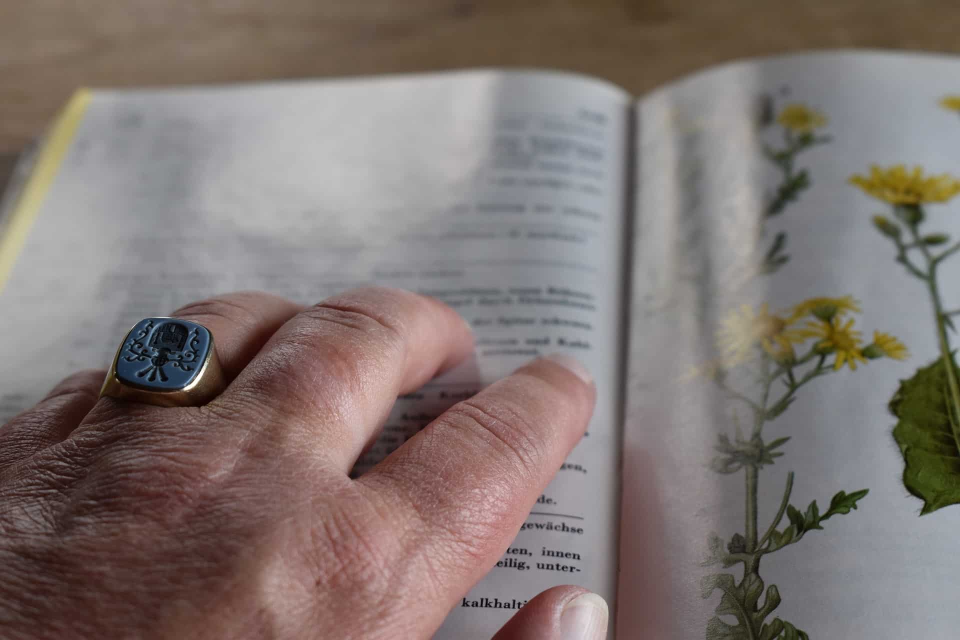 What is a Class Ring? History and Traditions - LaCkore Couture